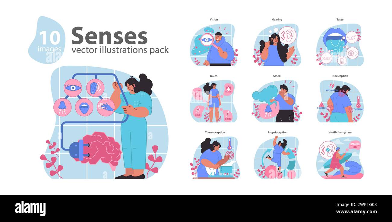 Senses set. Human sensory organs and functions. Interaction of smell ...