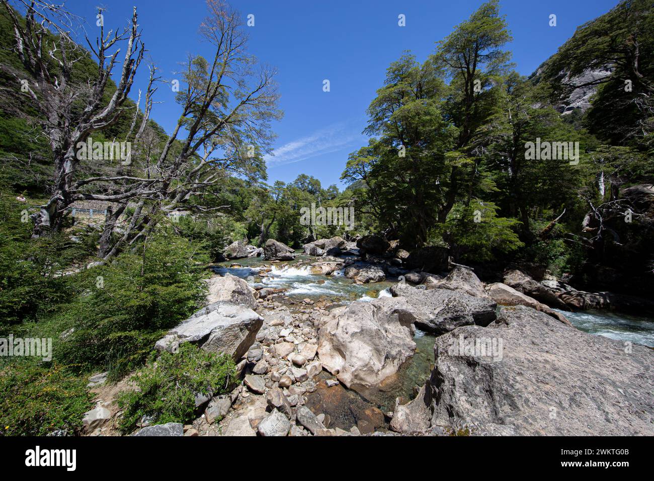 landscape view of Bariloche in the summer, Argentina, South America ...