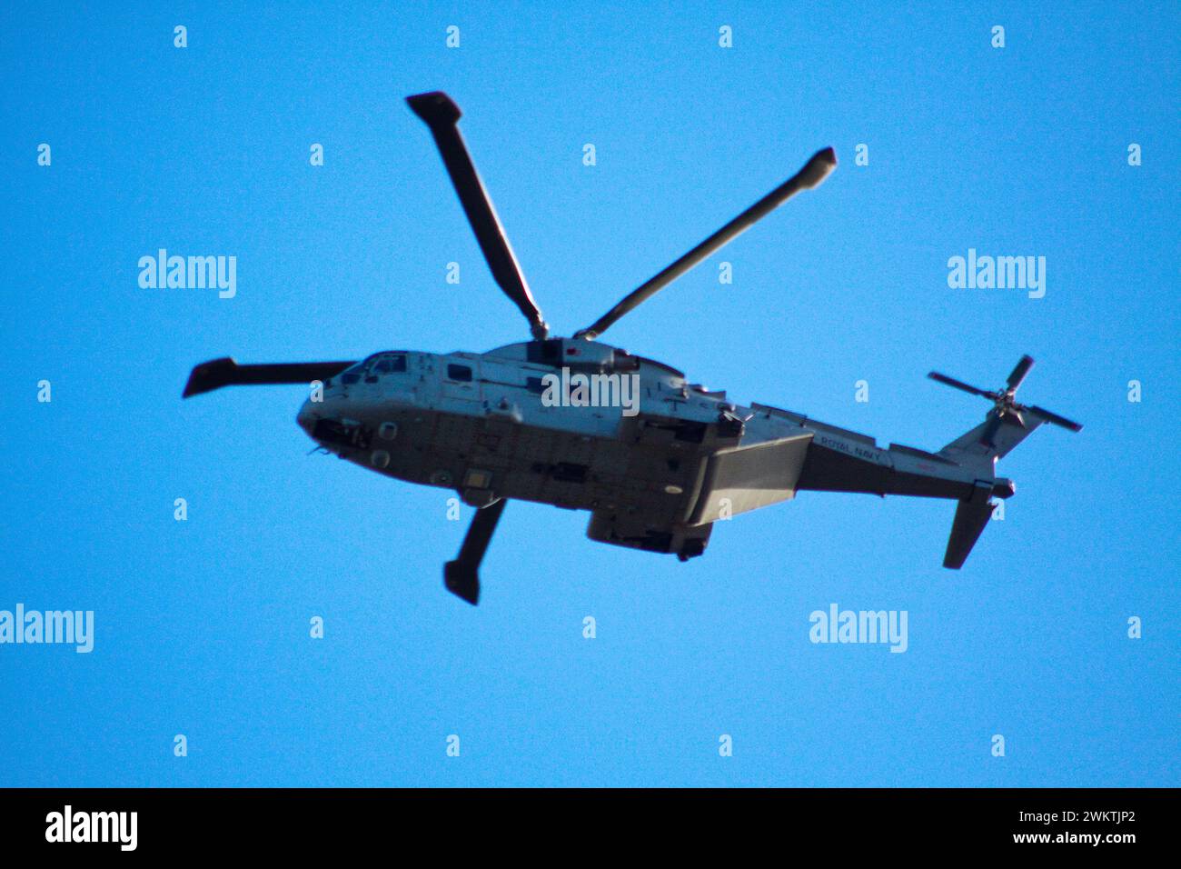 Royal Navy Helicopter Merlin Mk2 flying over Chard Somerset England uk ...