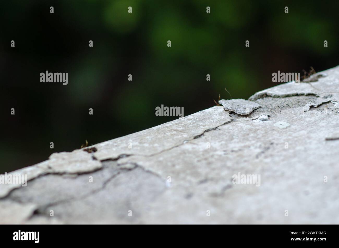 windowsill, detail of concrete damaged by time due to exposure to ...