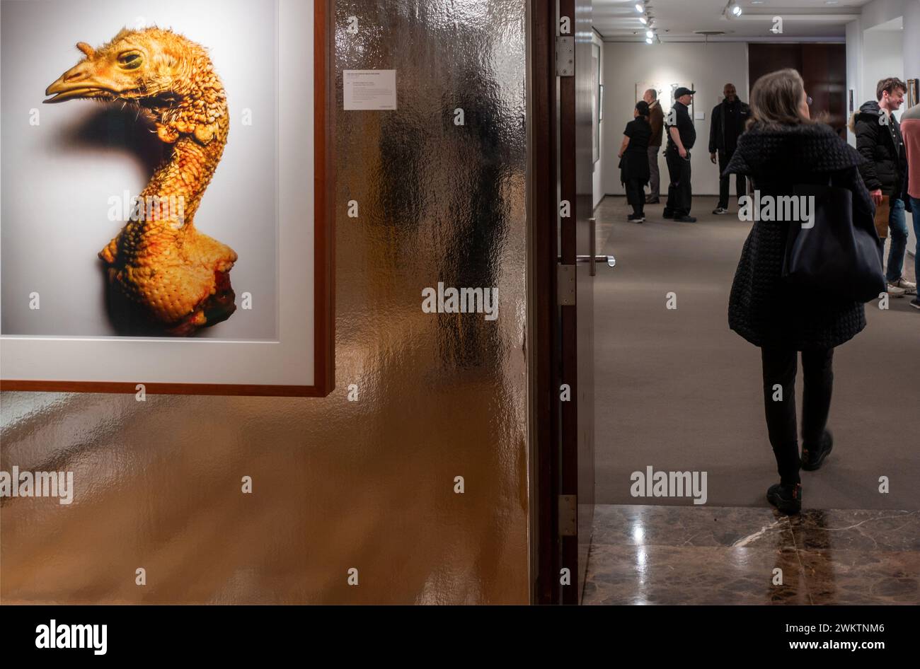 Sir Elton John collection auction at Christies in Manhattan NYC Stock ...