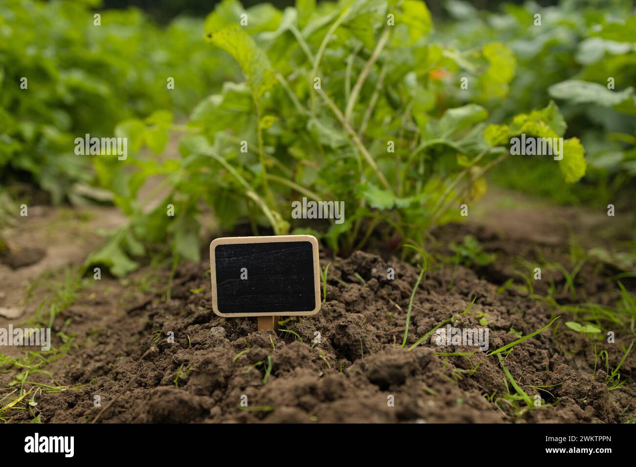 Black blank billboard against green field landscape. Empty mockup ...