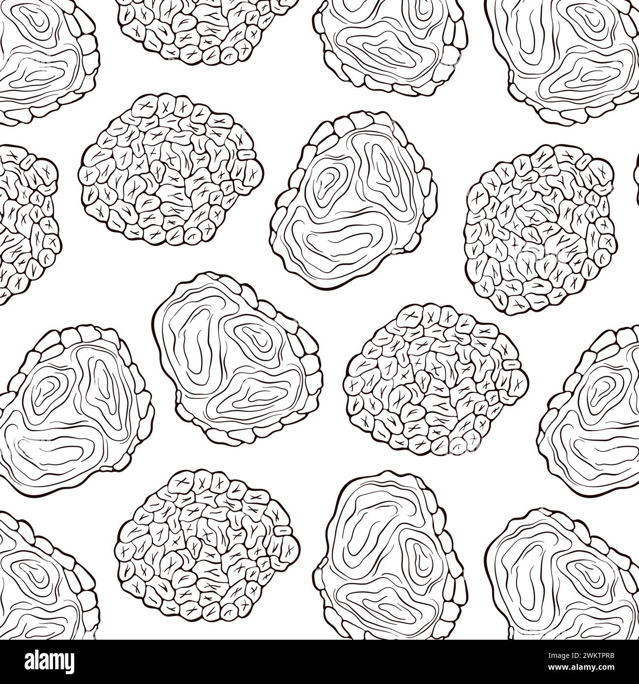 Truffle mushrooms seamless pattern line art style. For wrapping paper ...