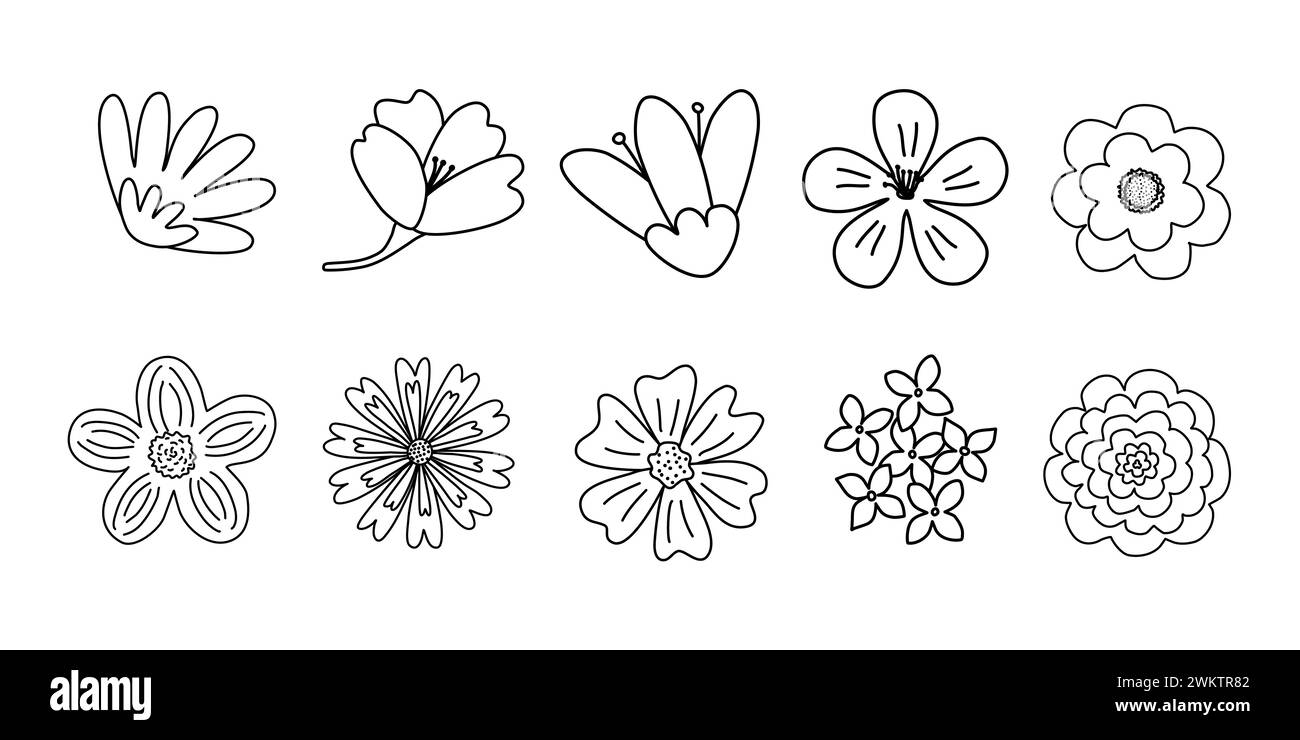 Set of different flowers heads, spring design, doodle style flat vector ...