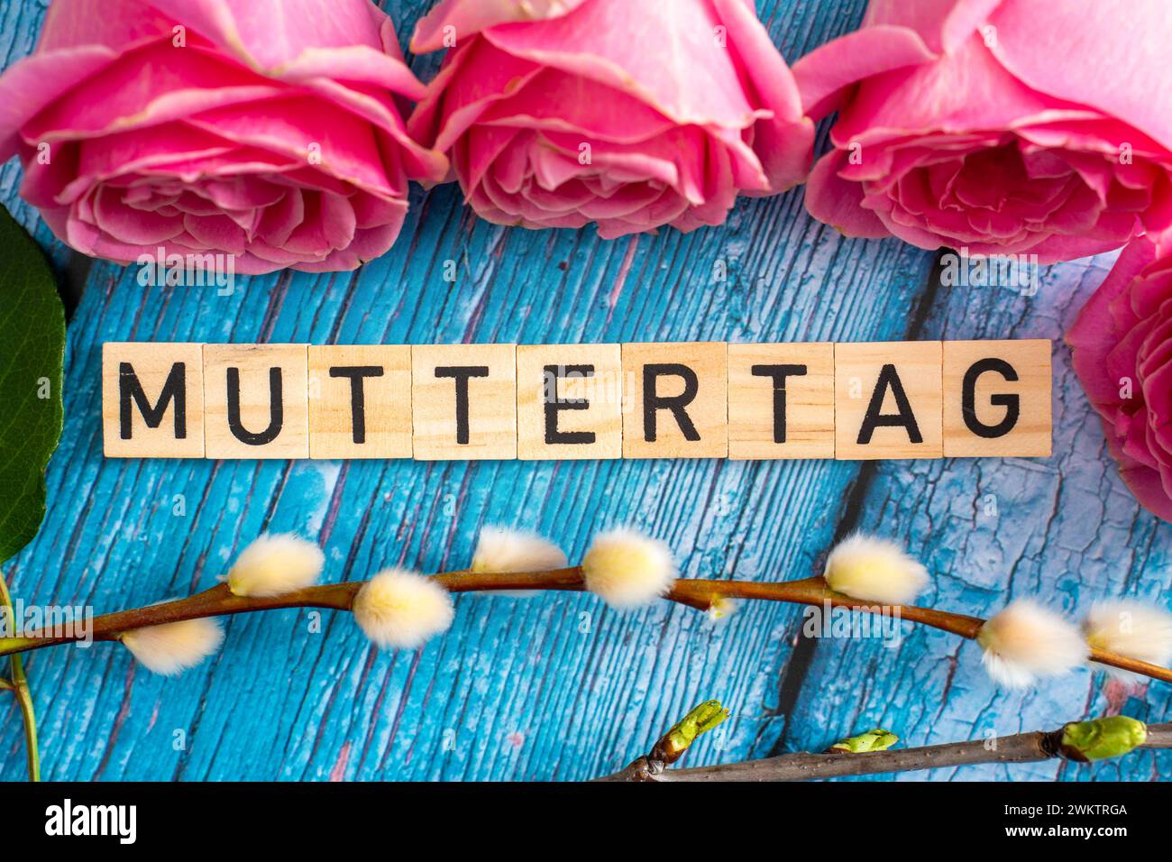 February 21, 2024: Mother s Day, greeting on wooden cubes next to pink ...
