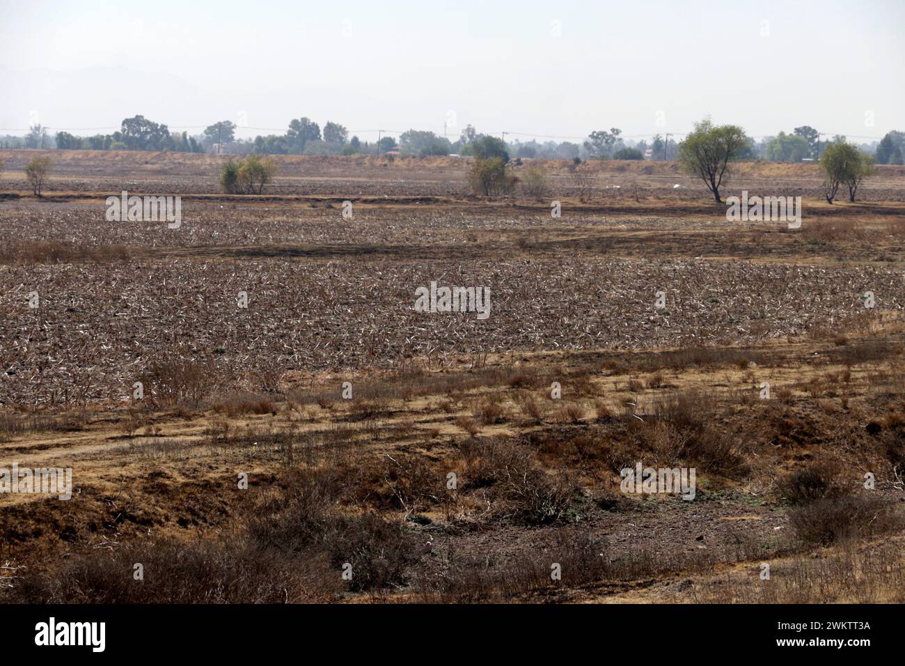 Zumpango de Ocampo, Mexico. 21st Feb, 2024. View of the Zumpango Lagoon ...
