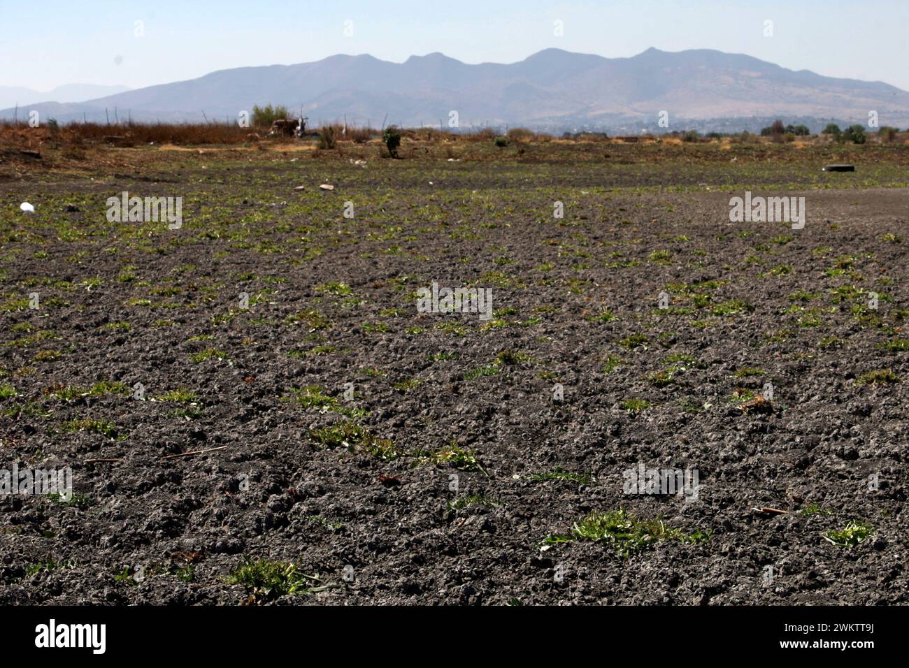 Zumpango de Ocampo, Mexico. 21st Feb, 2024. View of the Zumpango Lagoon ...
