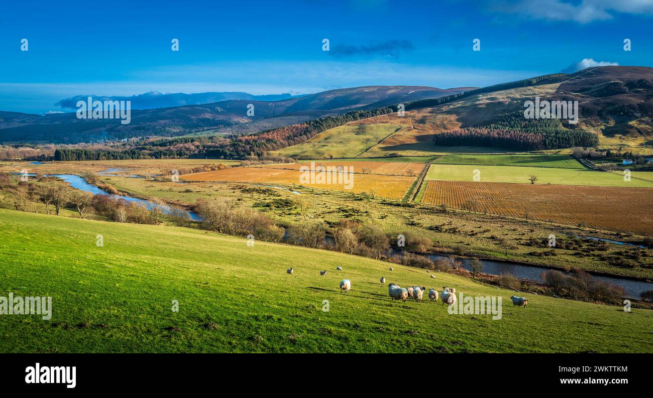 Early spring landscape in the Scottish Borders Stock Photo - Alamy