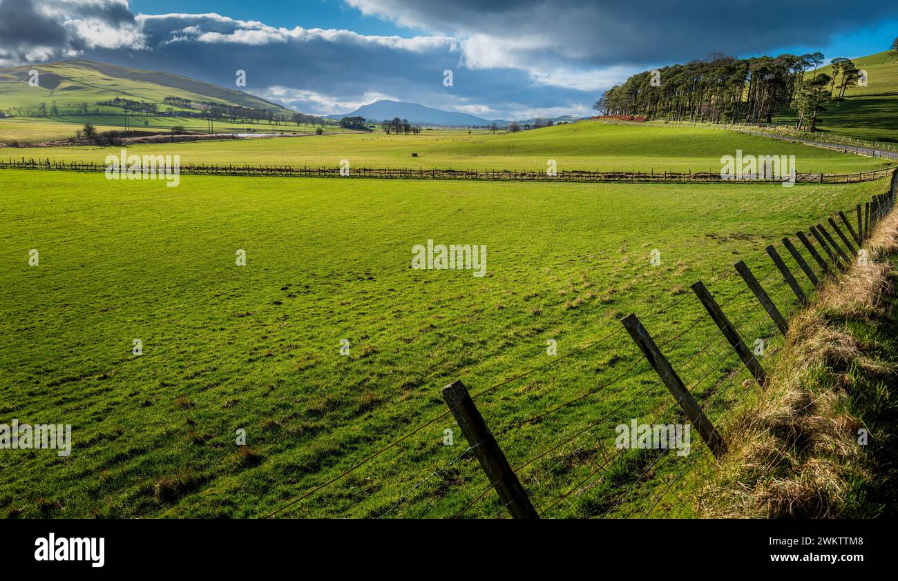 Early spring landscape in hi-res stock photography and images - Alamy