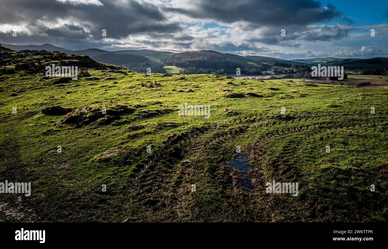Early spring landscape in the Scottish Borders Stock Photo - Alamy