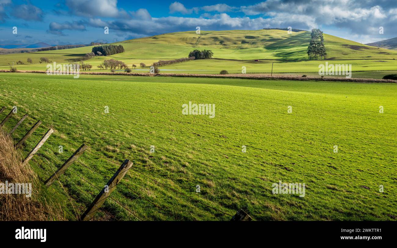 Early spring landscape in the Scottish Borders Stock Photo - Alamy