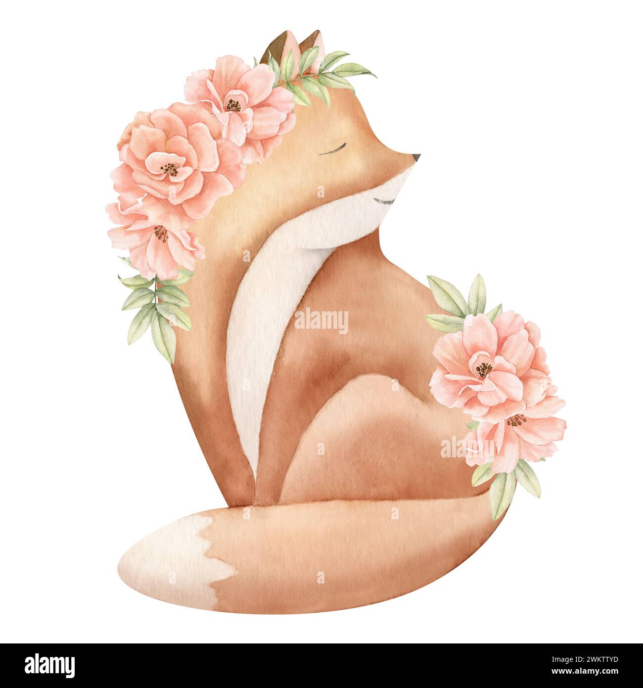 Fox with rose Flowers. Watercolor illustration of forest animal for ...