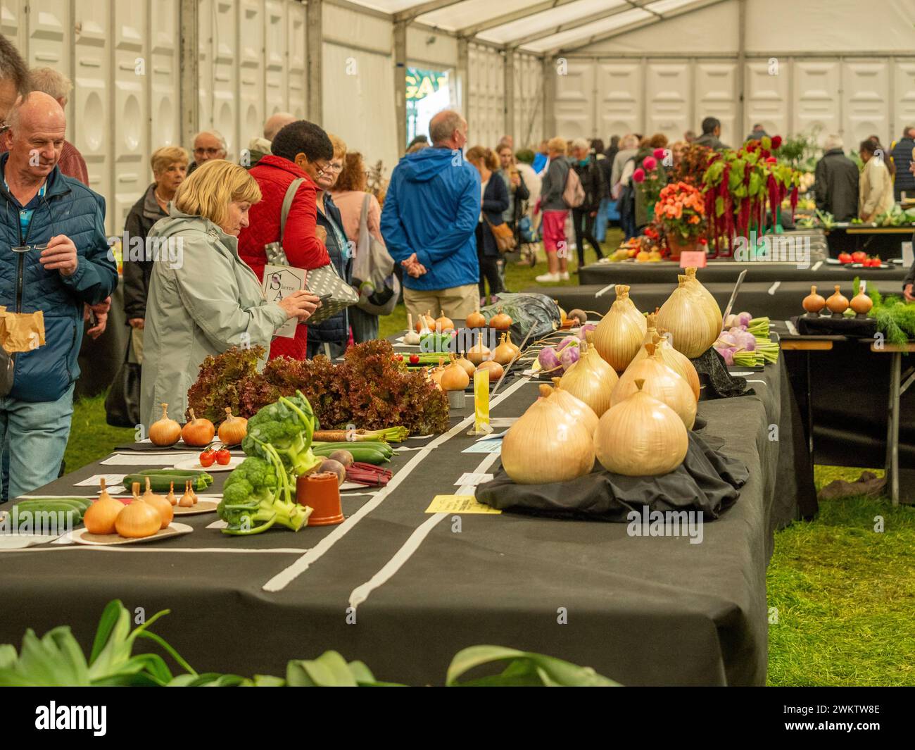 Visitors looking at the displays in a marquee at a country show ...