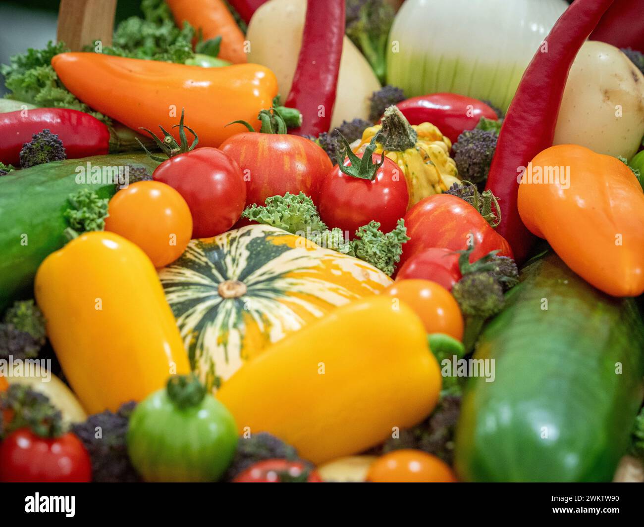 Vegetable growing competition hi-res stock photography and images - Alamy