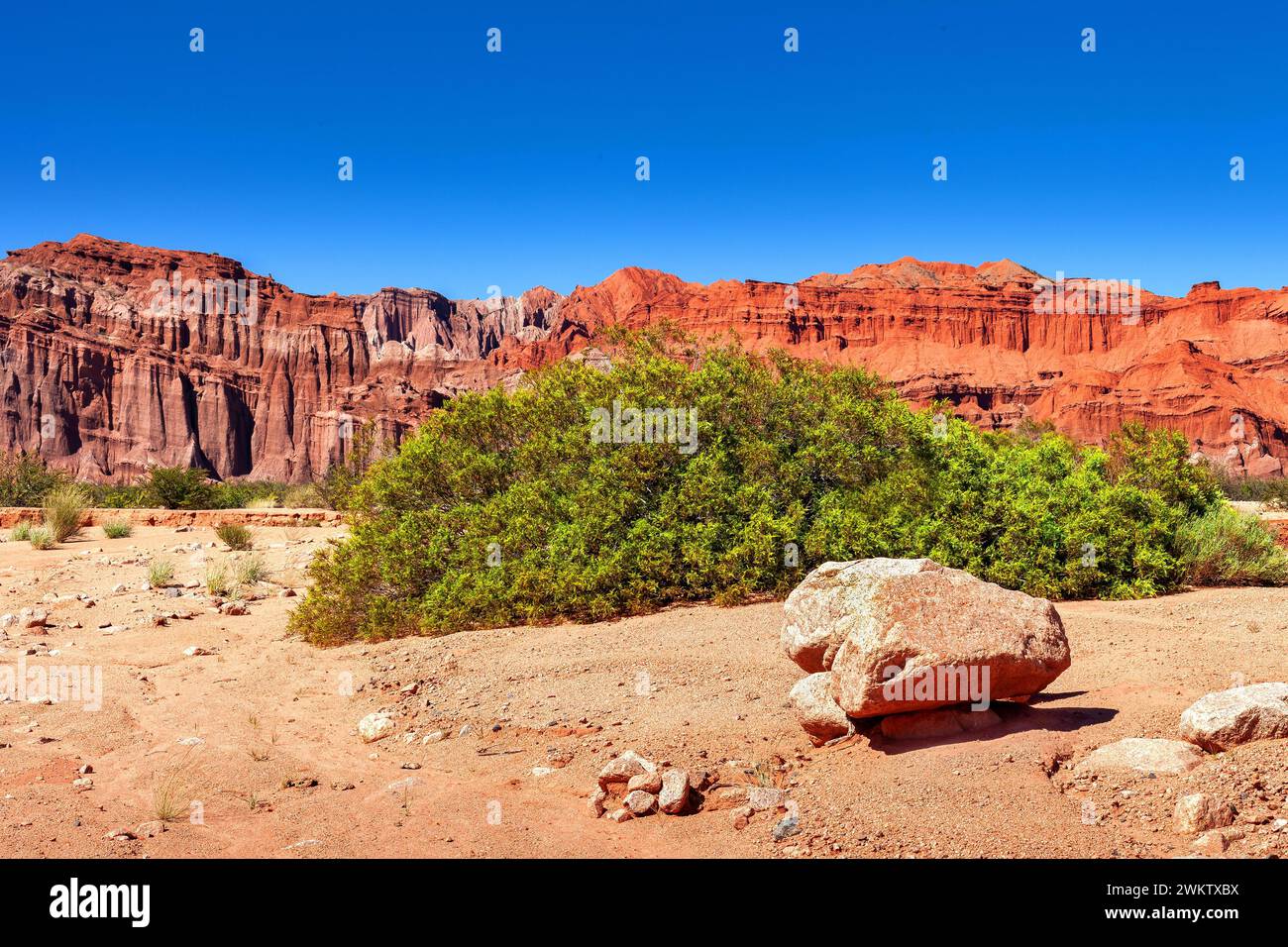 Arid landscape with colorful formations, bush and stone washed away by ...