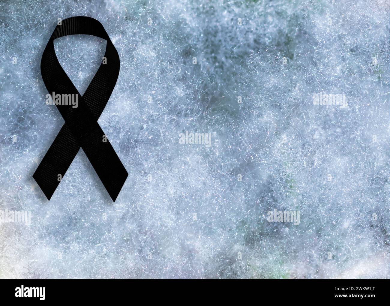 A black ribbon bow symbolizing mourning Stock Photo - Alamy
