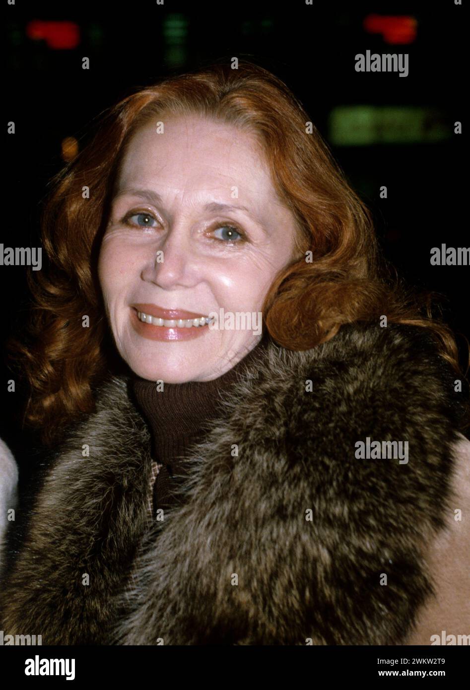 Katherine Helmond of 'Soap' photographed on October 15, 1981 in New ...