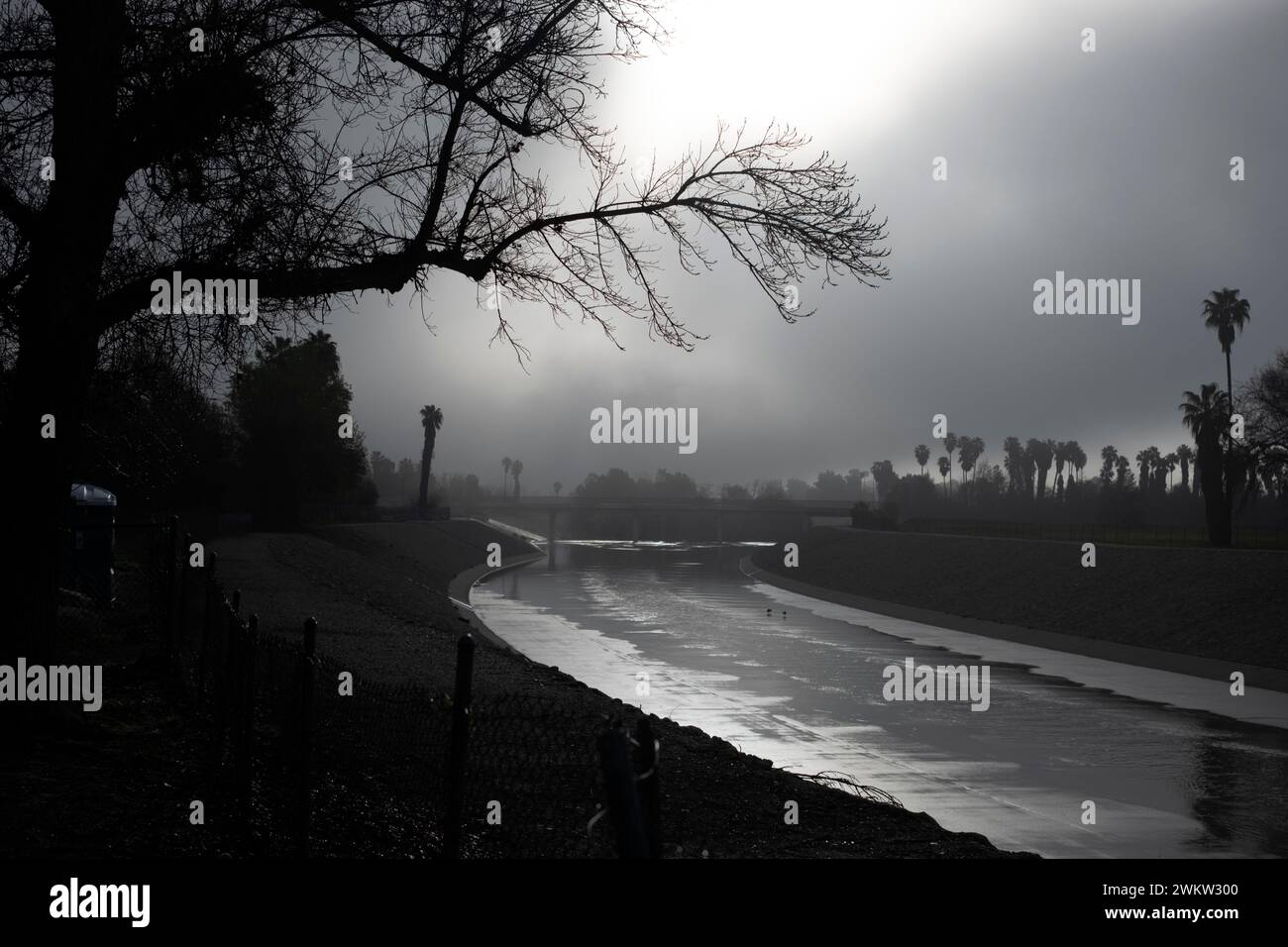 Heavy fog rolls out over the Los Angeles River as it's runoff flows ...