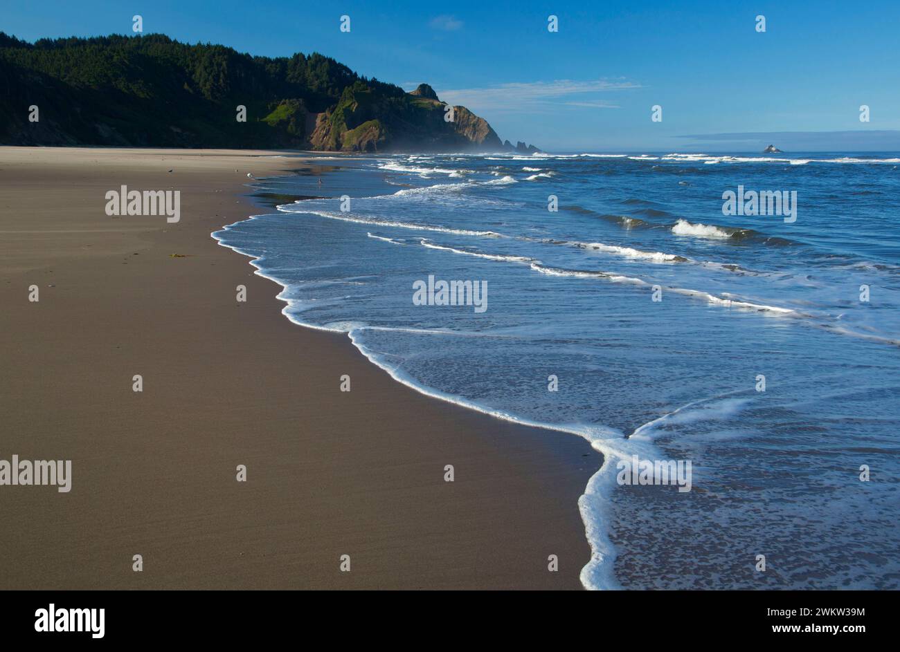 Open beach, Cascade Head Scenic-Research Area, Lincoln County, Oregon ...