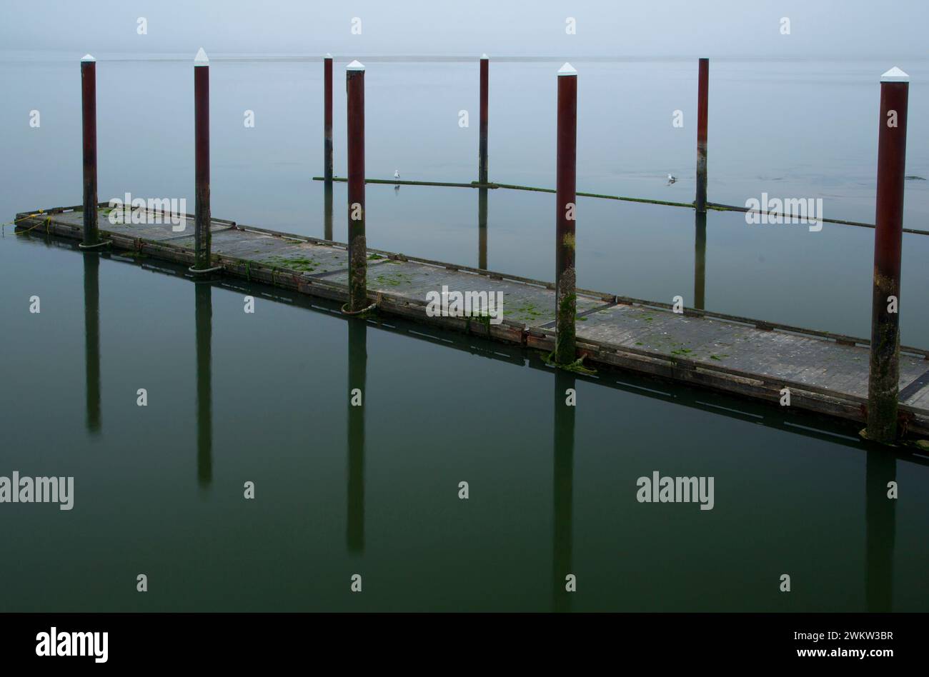 Port of Alsea Moorage Dock, Robinson Park, Waldport, Oregon Stock Photo ...