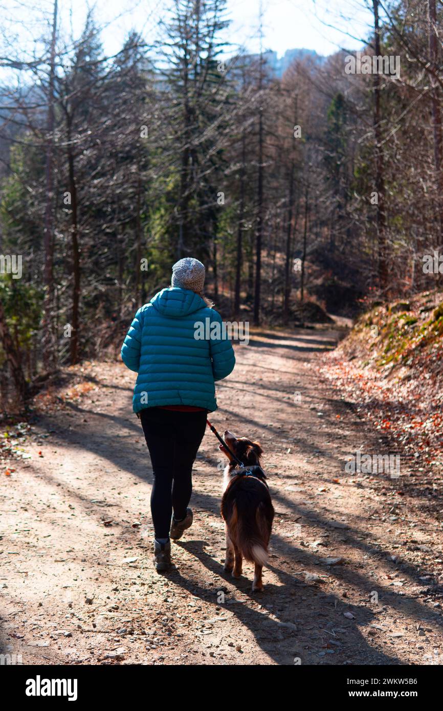 a border collie dog walks on a leash with its owner on a mountain trail ...
