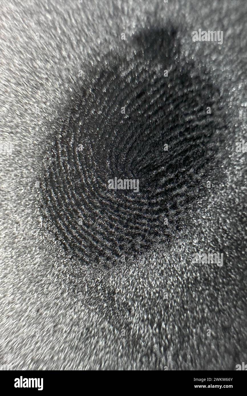 230907d882berlin hi-res stock photography and images - Alamy