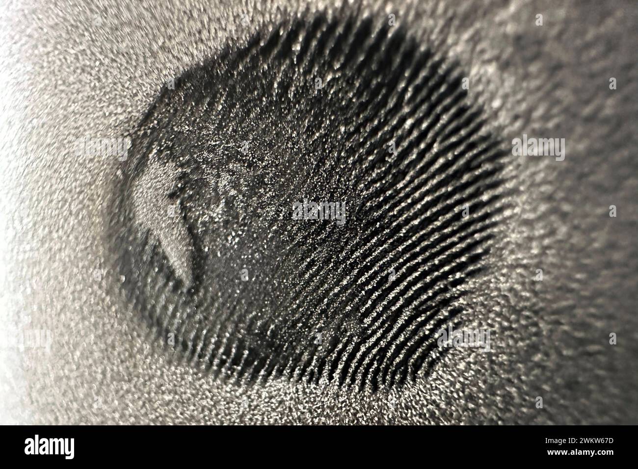 230907d881berlin hi-res stock photography and images - Alamy