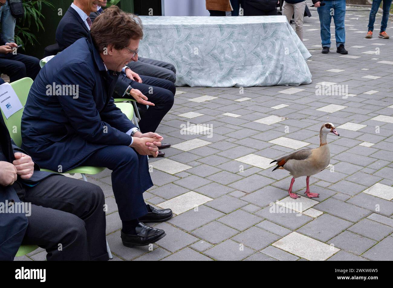 Madrid 2024: Panda Ceremony at Madrid Zoo Jose Luis Martinez Almeida ...