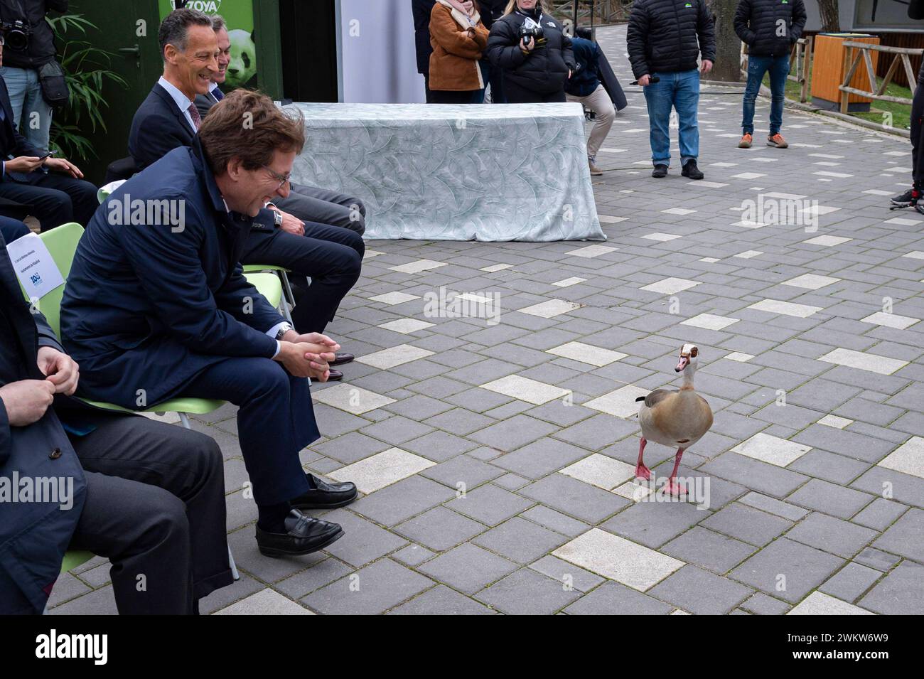 Madrid 2024: Panda Ceremony at Madrid Zoo Jose Luis Martinez Almeida ...
