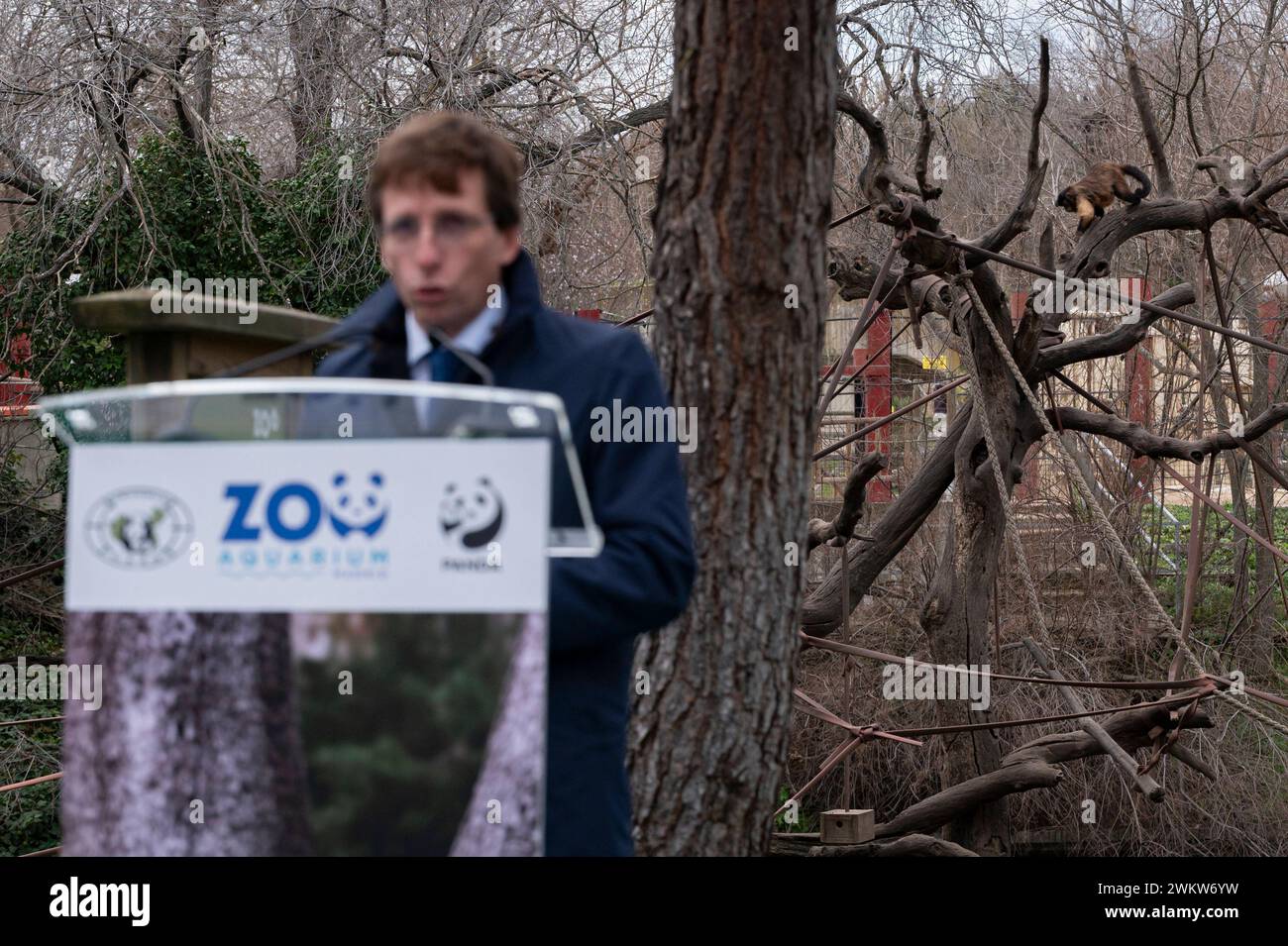 Madrid 2024: Panda Ceremony at Madrid Zoo Jose Luis Martinez Almeida ...
