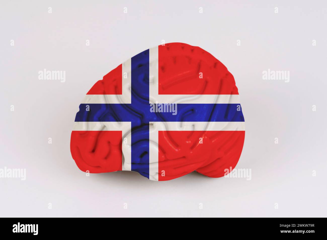 On a white background, a model of the brain with a picture of a flag ...