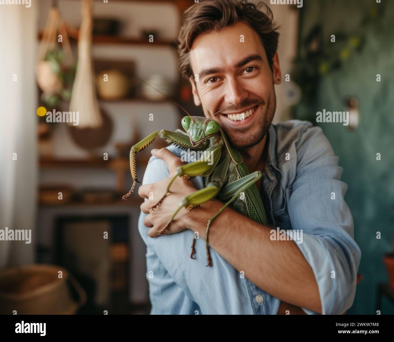 Large scaled lizard hi-res stock photography and images - Alamy