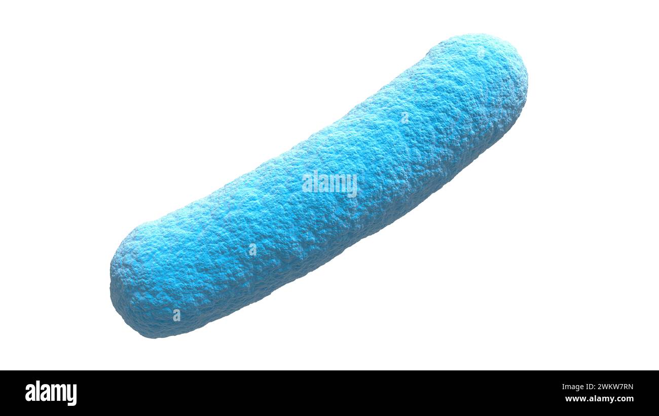 Bacteria. Bacterium. Blue color. Prokaryotic microorganisms. Isolated ...
