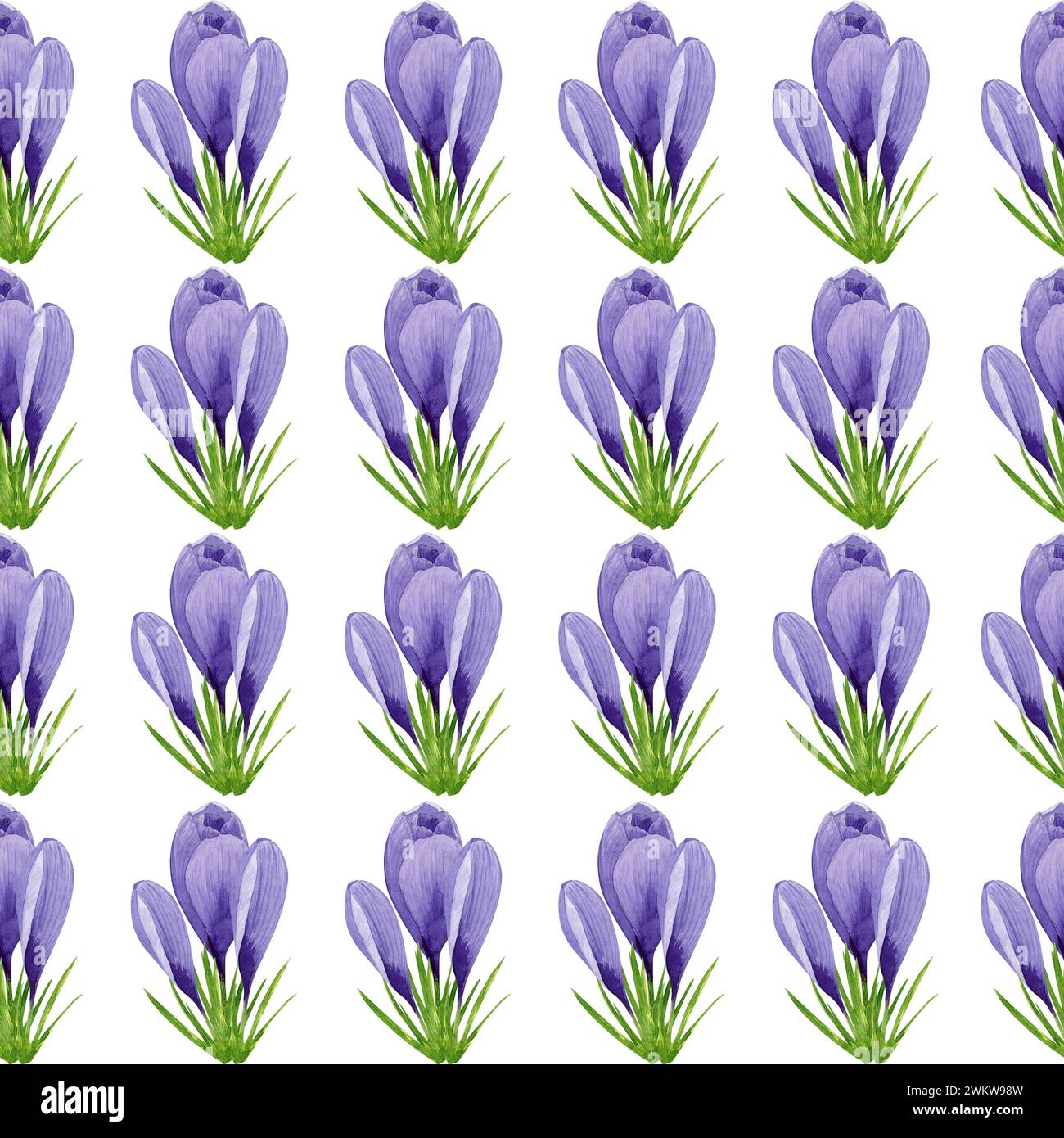 Watercolor purple crocuses seamless pattern, spring flowers digital ...