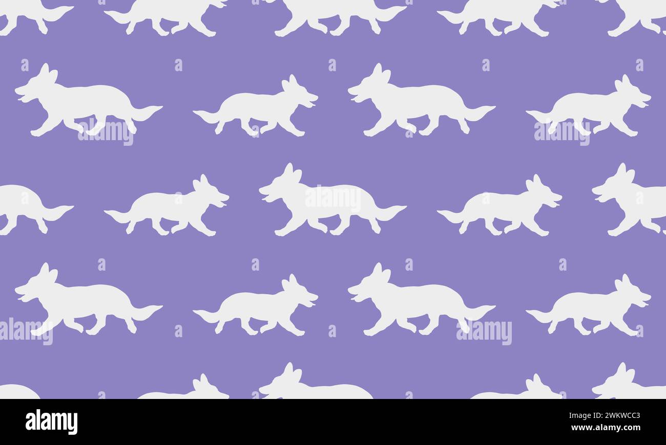 Running pembroke welsh corgi puppy isolated on a purple background ...