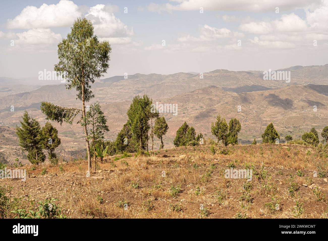 In the highlands of Abyssinia, village in the Semien Mountains, Street ...