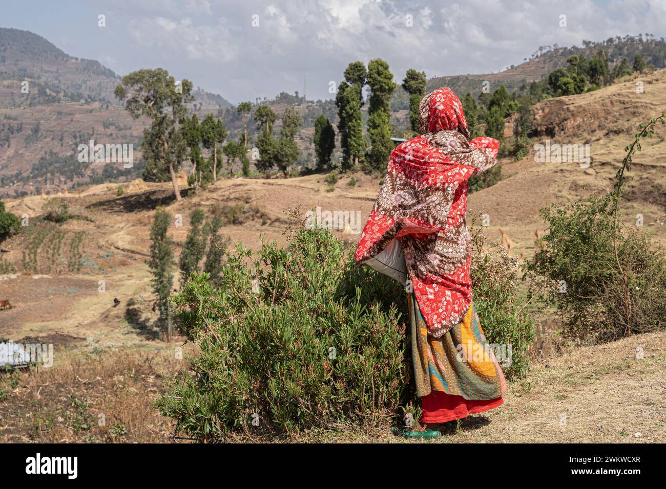 In the highlands of Abyssinia, village in the Semien Mountains, Street ...