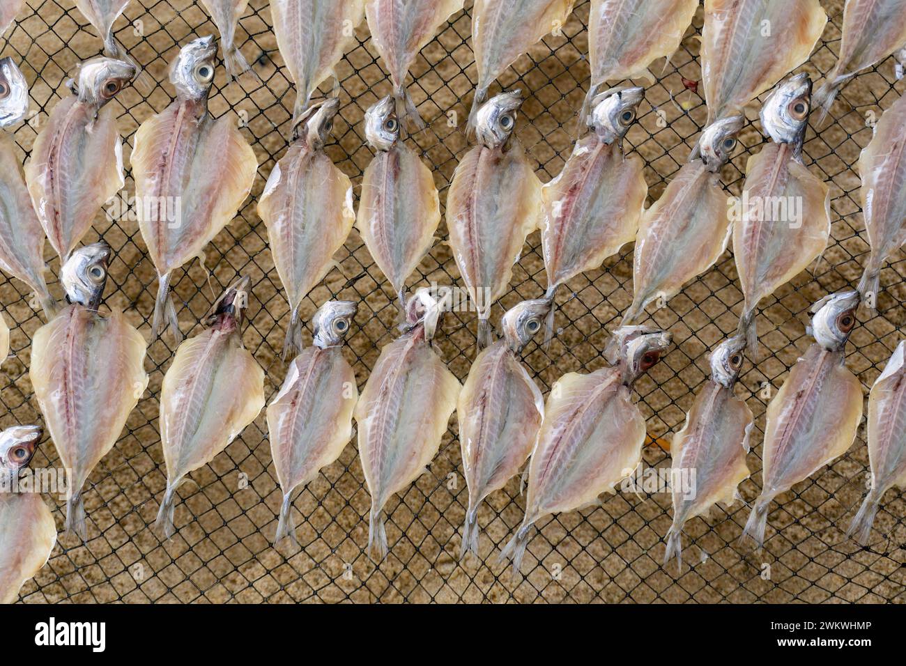 Gutted fish is dried on a metal mesh on a beach background Stock Photo ...