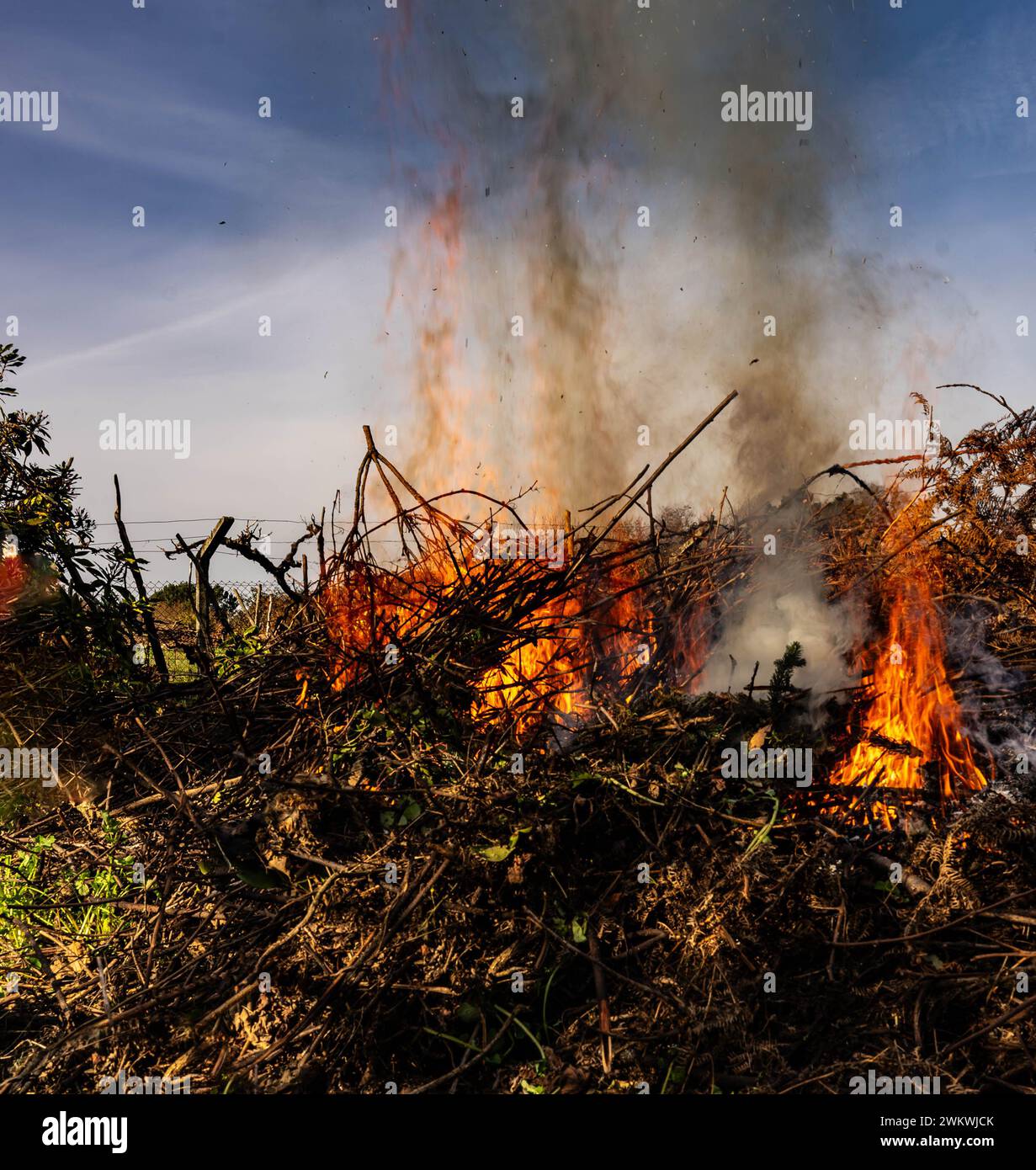 Farmer burning straw hi-res stock photography and images - Alamy
