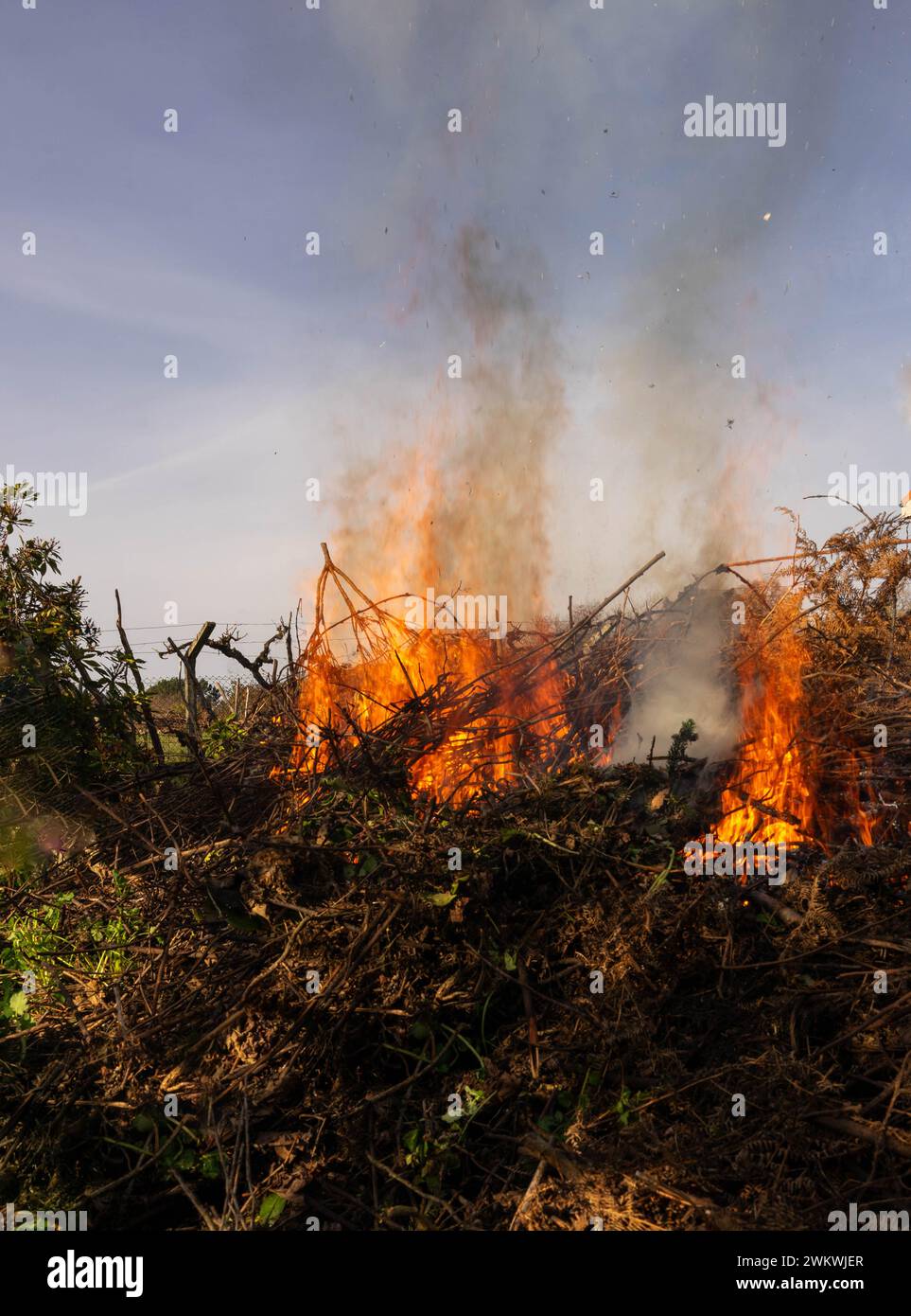 Burning pruning waste hi-res stock photography and images - Alamy
