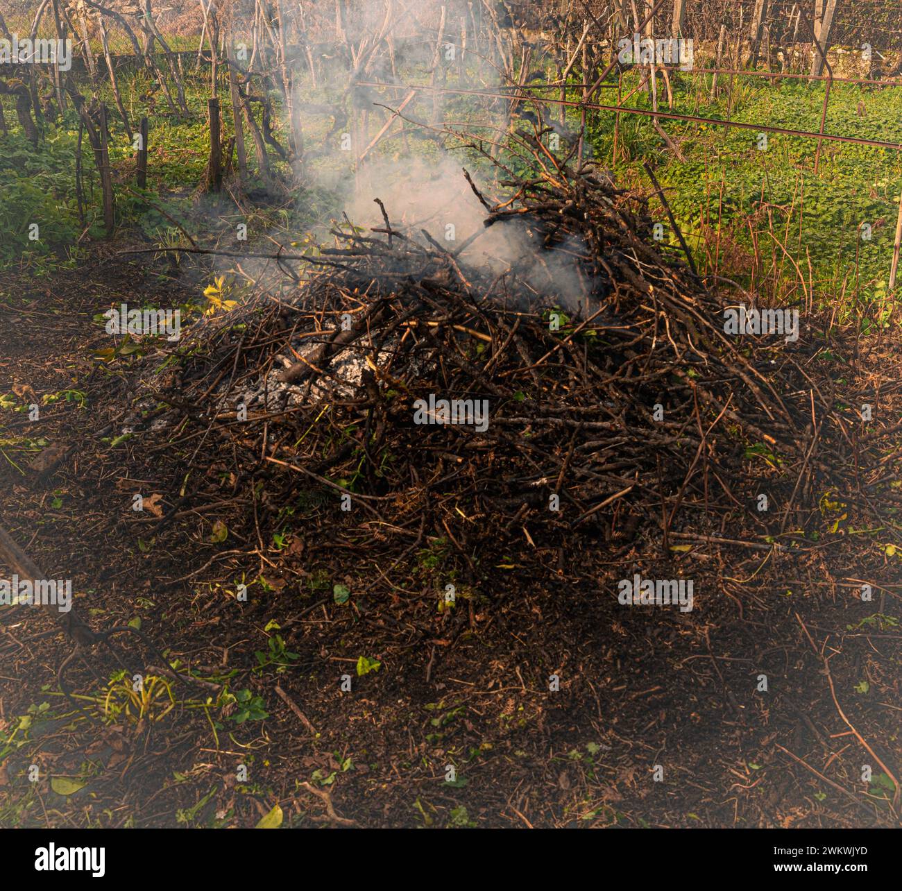 Farmer burning straw hi-res stock photography and images - Alamy