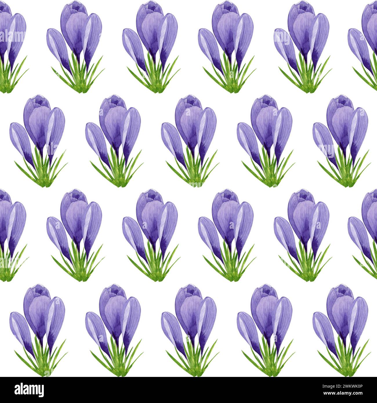 Watercolor purple crocuses seamless pattern, spring flowers digital ...