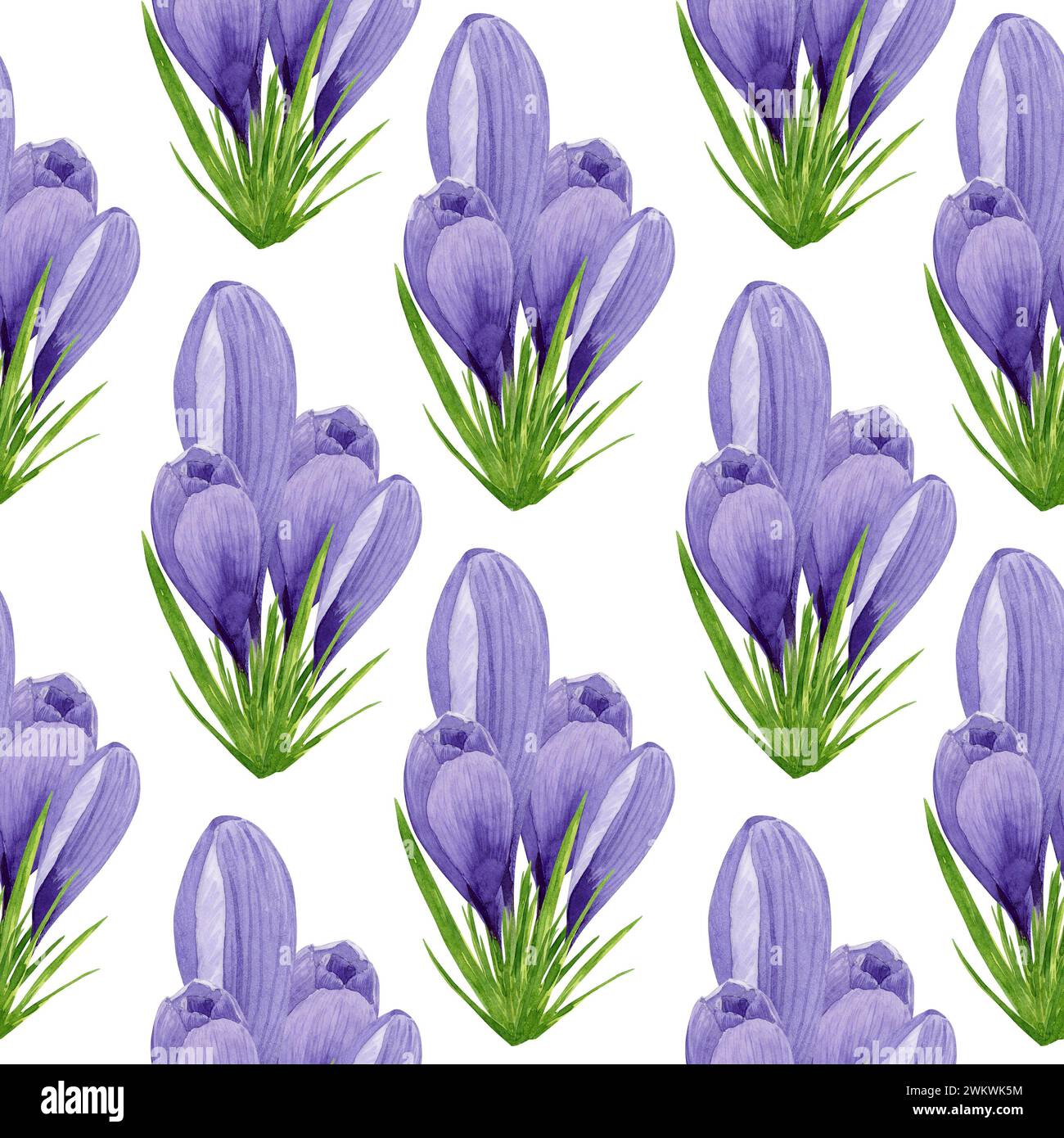 Watercolor purple crocuses seamless pattern, spring flowers digital ...