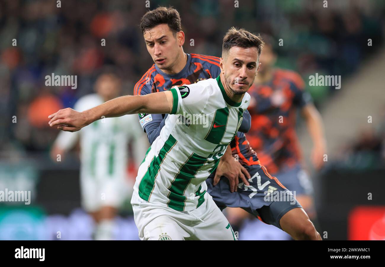 Grupama arena hi-res stock photography and images - Alamy