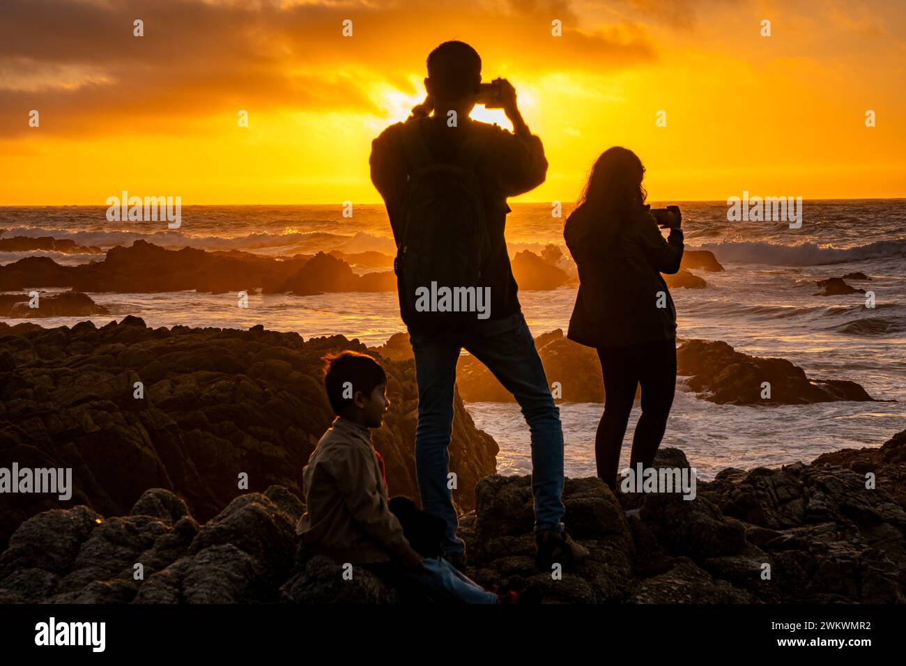 Family photographing coastal sunset at tide pool along Monterey Bay ...