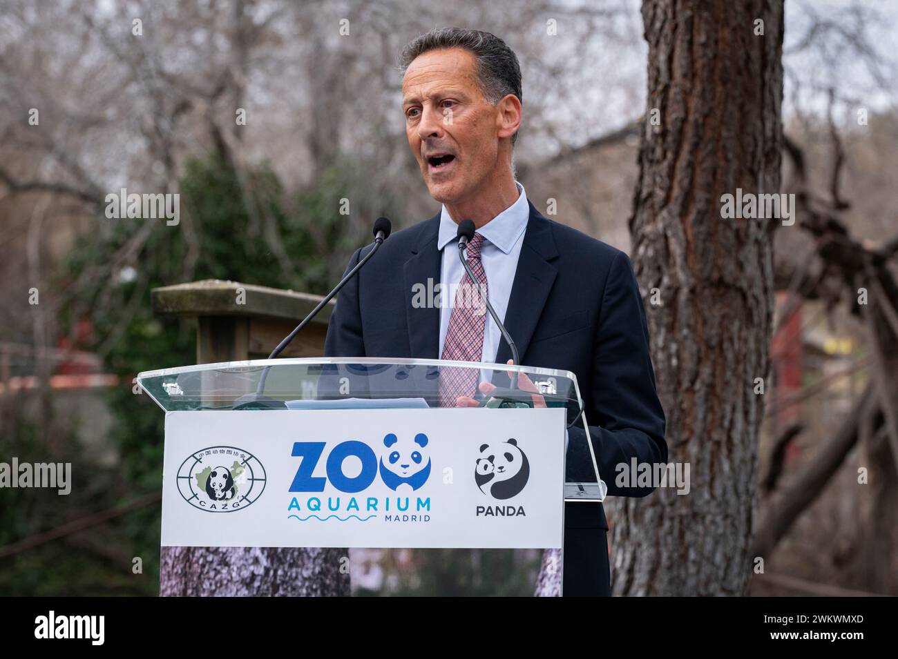 Yao Jing, ambassador of China in Spain, seen speaking during an ...