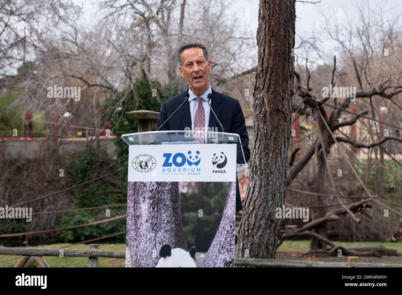 Yao Jing, ambassador of China in Spain, seen speaking during an ...