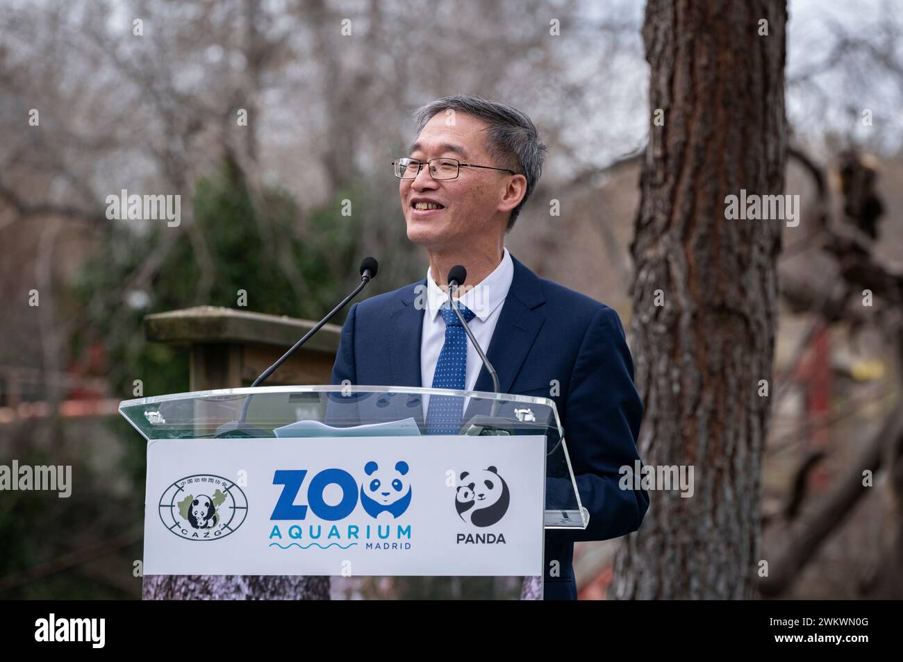 Yao Jing, ambassador of China in Spain, seen speaking during an ...