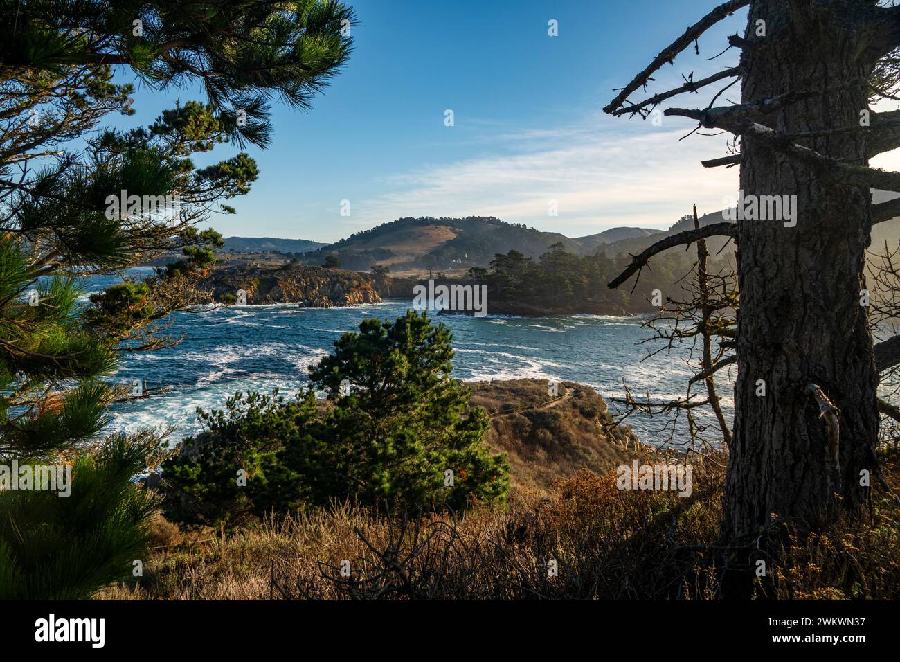 Carmel bay ecological reserve hi-res stock photography and images - Alamy