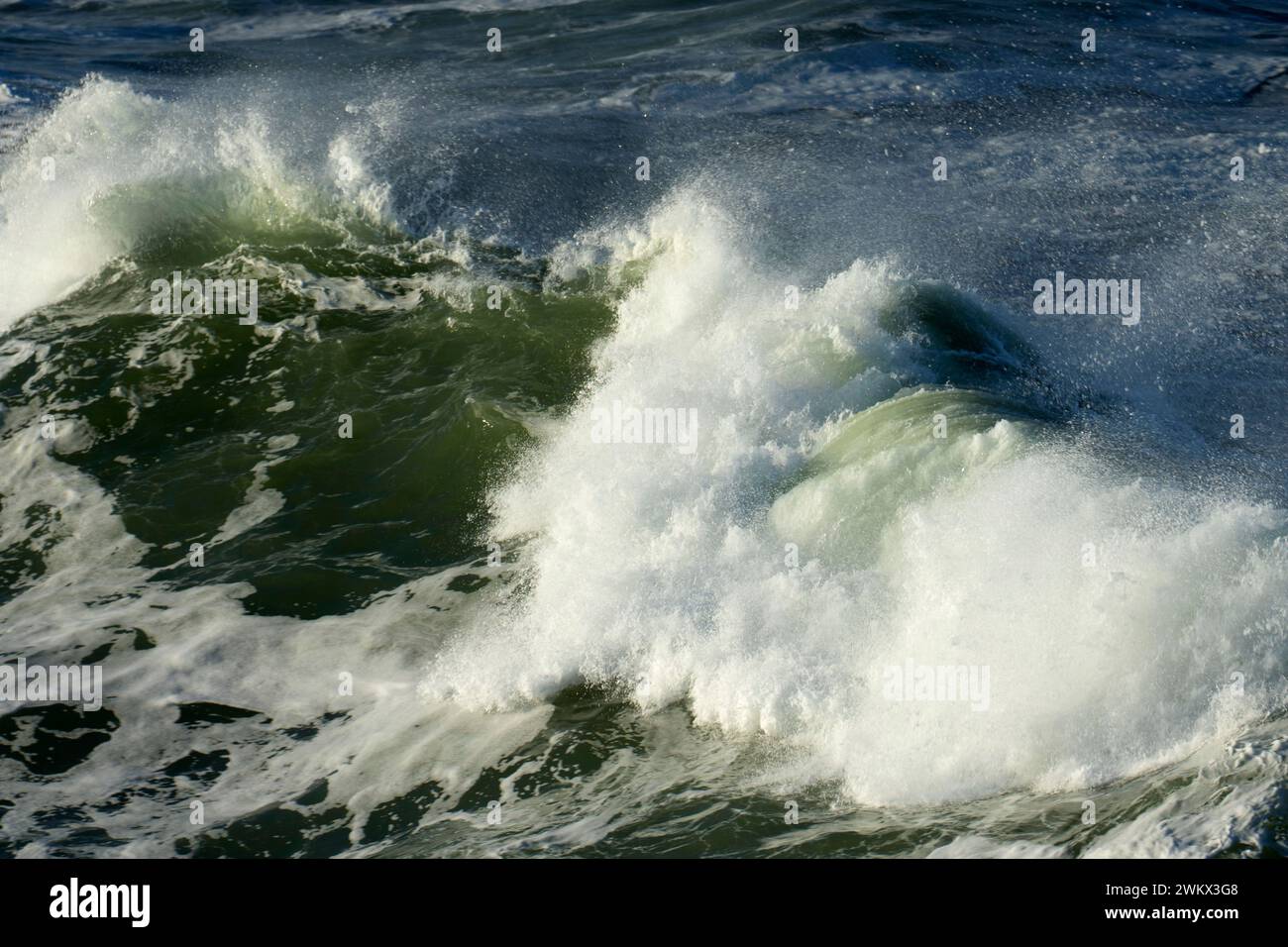 Breaking wave, Fishing Rock State Park, Lincoln City, Oregon Stock ...